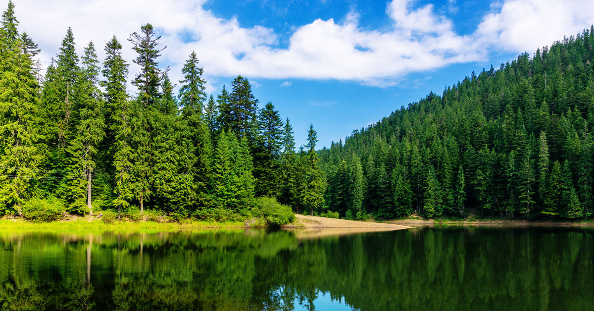 How One UGI Dispatcher is Actively Involved in Her Community | UGI