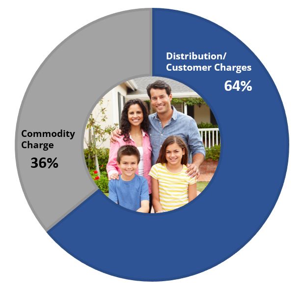 Your UGI Bill Explained – UGI Utilities