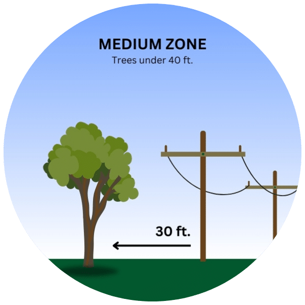 Planting Trees Near Power Lines - UGI Utilities