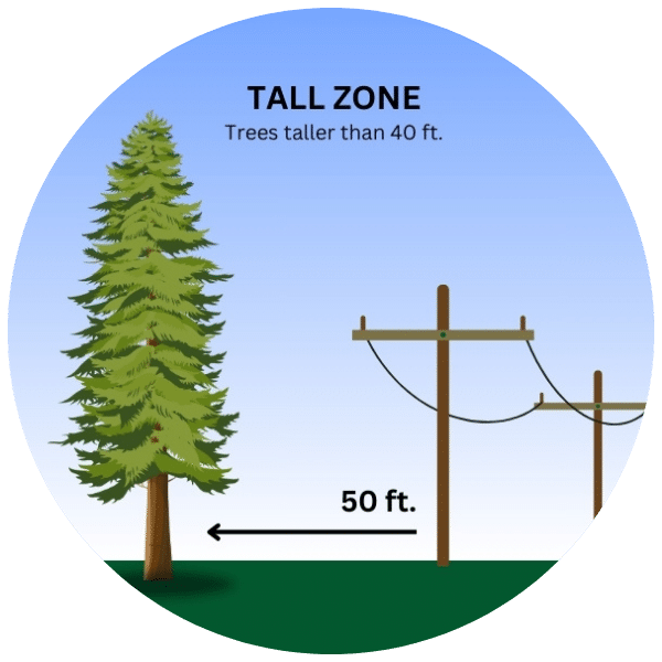 Planting Trees Near Power Lines - UGI Utilities