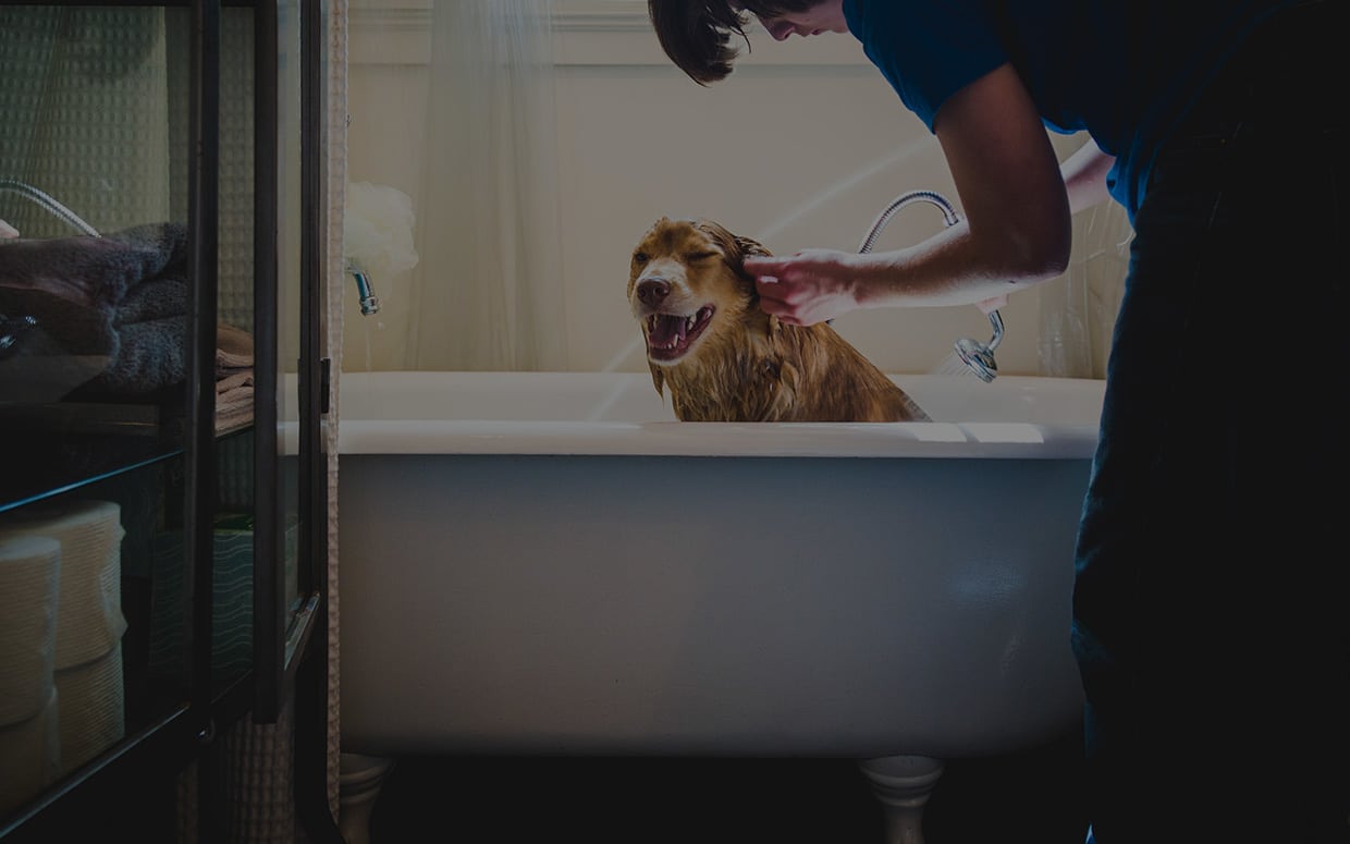 Natural Gas Tankless Water Heaters - UGI Utilities