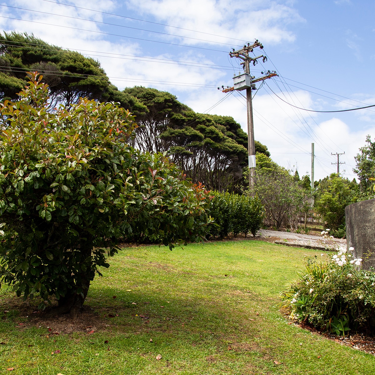 Planting Trees Near Power Lines - UGI Utilities